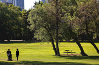 The City of Calgary: Riley Park