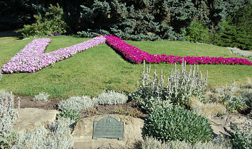 The City of Calgary: Riley Park